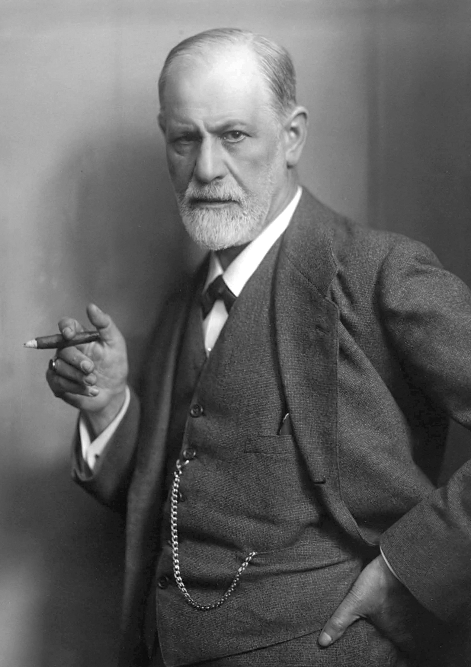 Sigmund Freud knygos | Patogupirkti.lt