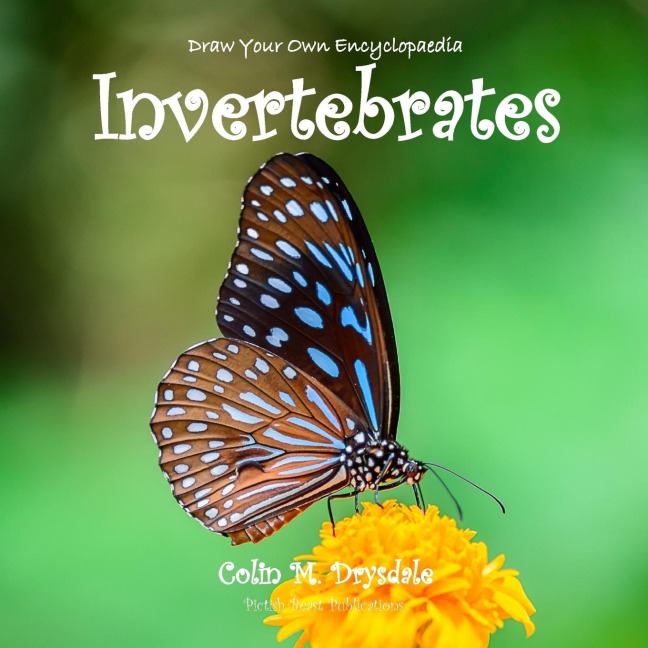 Draw Your Own Encyclopaedia Invertebrates - Colin M Drysdale ...