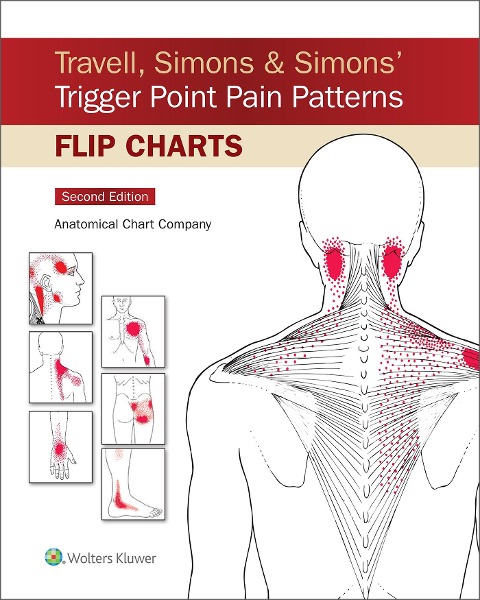 Travell, Simons & Simons Trigger Point Pain Patterns Flip Charts ...