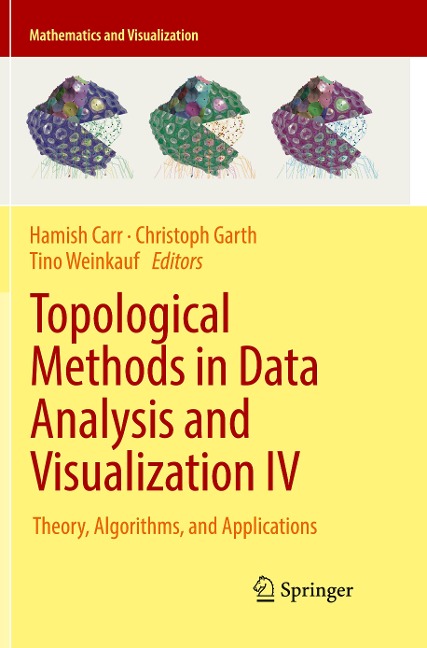 Topological Methods in Data Analysis and Visualization IV: Theory ...