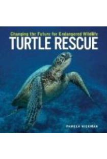 Turtle Rescue: Changing the Future for Endangered Wildlife - Pamela ...
